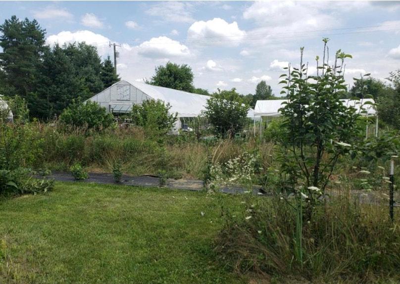 MAEAP Verifications: The Farm on Jennings | Washtenaw County ...