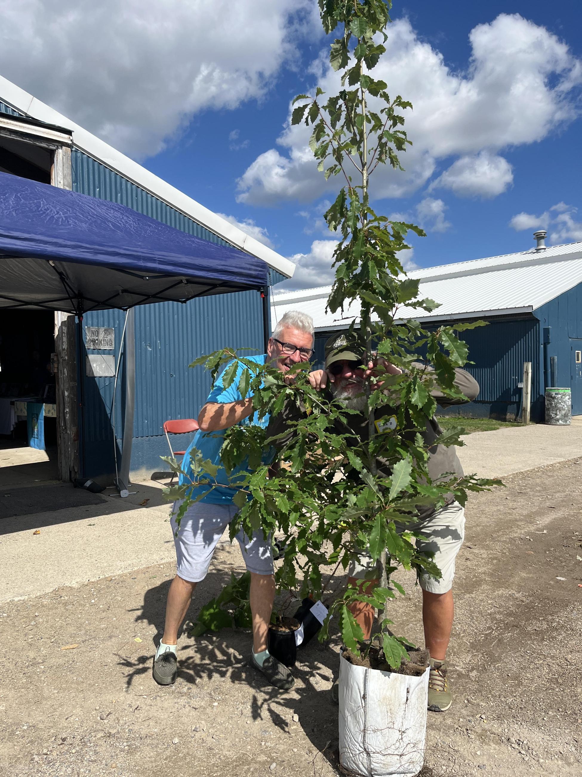 Fall Tree & Native Plant Sale - Biggest yet! | Washtenaw County ...